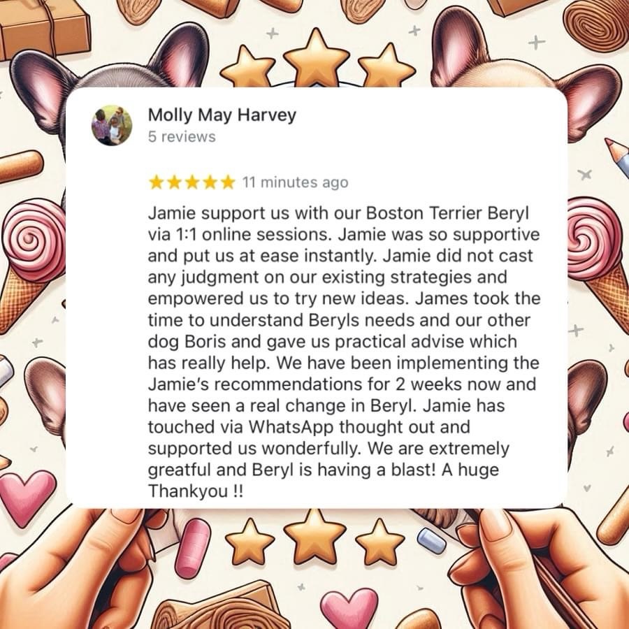 Pawfect Training Academy – 🐾 Guiding paws. One step at a time. 🐾