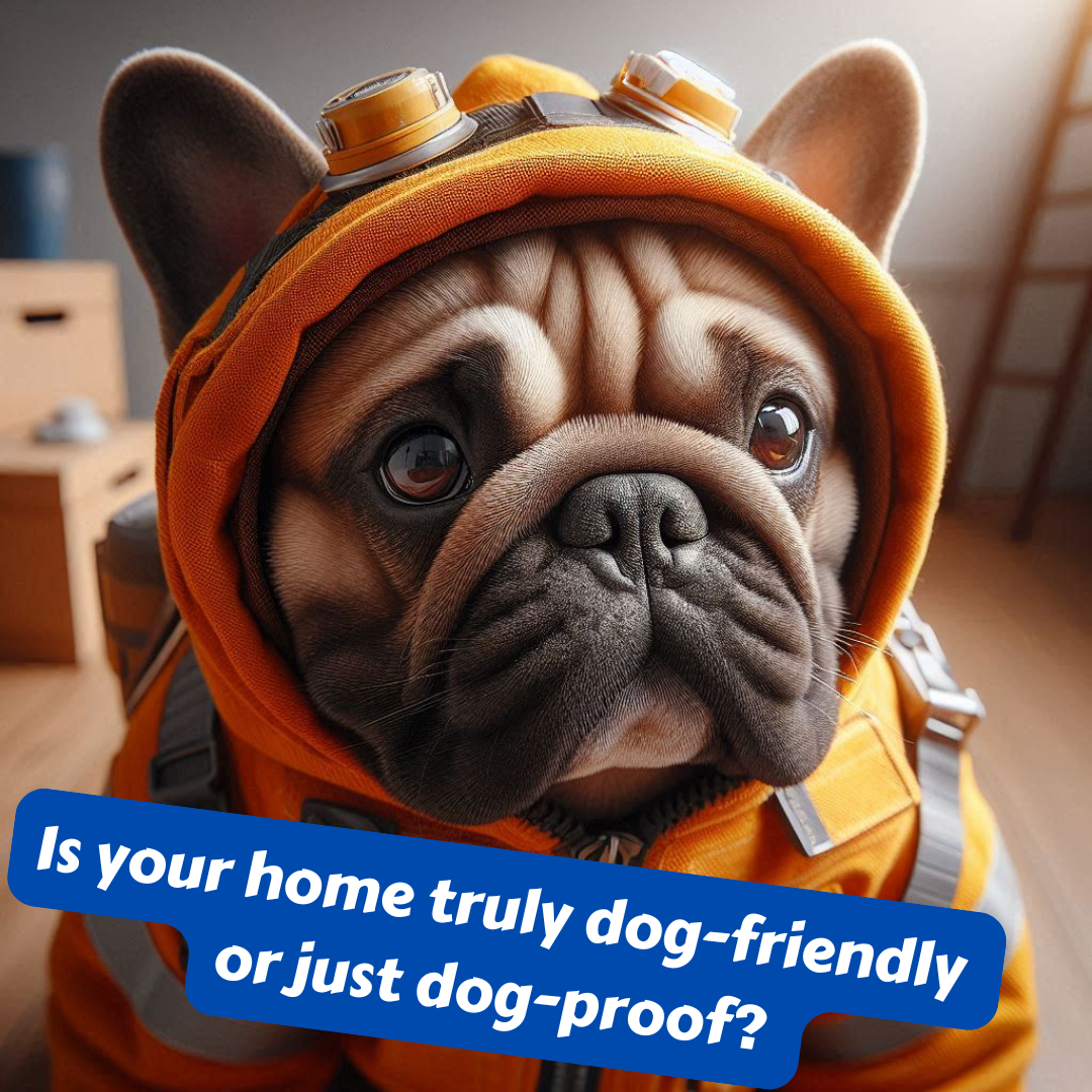 Creating the Ultimate Dog-Friendly Home: Why It’s More Than Just Pet ...