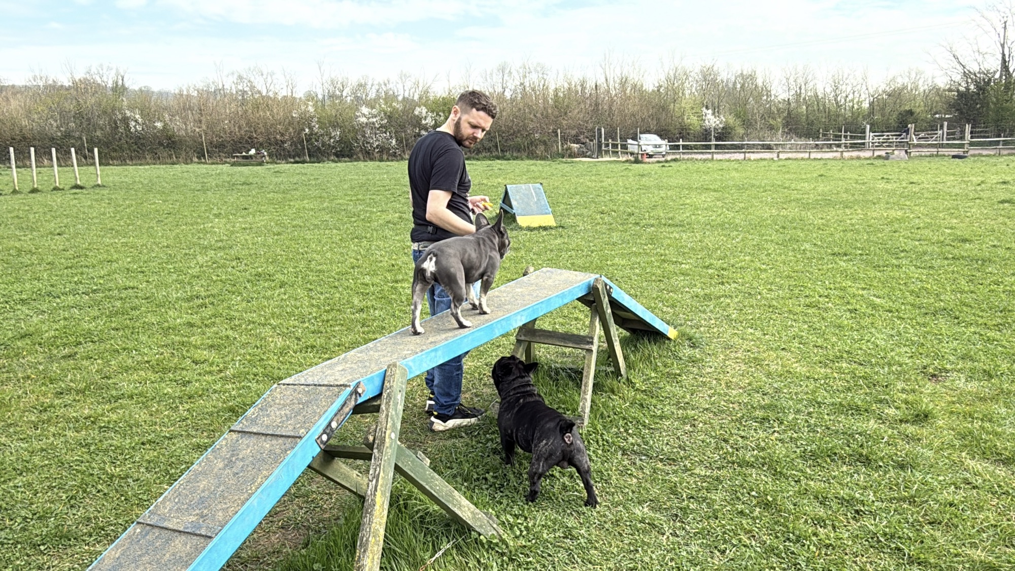 About Jamie: Certified SA Pro Behaviour Consultant – Pawfect Training ...