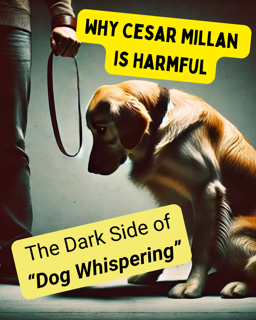 Why Cesar Millan’s Methods Are Outdated and Harmful – Pawfect Training ...