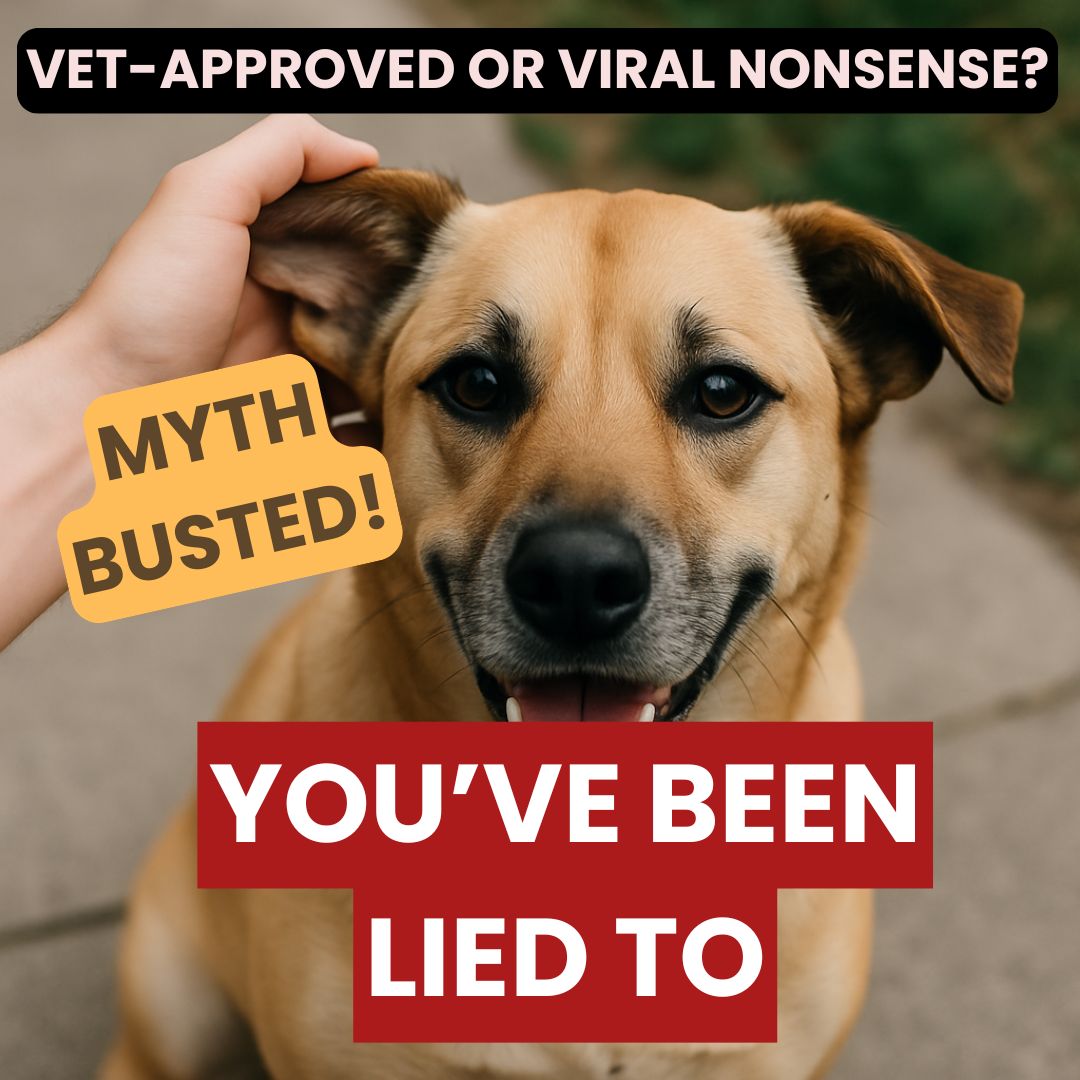 Can You Really ‘Reset’ Your Dog’s Vagus Nerve?” Here’s the Truth ...